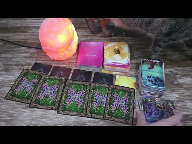 Deine wichtige Botschaft für genau jetzt - Angelika Haas ...